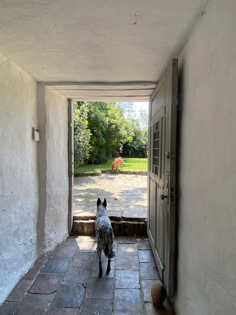 Presenting Casa Cicuta, a showcase of craftsmanship in the centre of ...